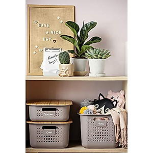 SmartStore Basket Bamboo Lid Colour, One Size