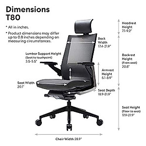 SIDIZ T80 Ergonomic Home Office Chair : German Mechanism for Extreme Comfort, Adjustable Headrest and Lumbar Support, 3-Way Armrests, Forward Tilt Adjustment, Adjustable Seat Depth, Mesh Back (Black)