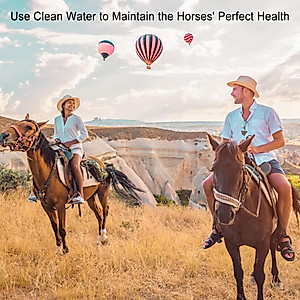 Stock Tank Float Valve,Stock Tank Drain Plug Kit Use with 1MDB5,MDB6,MDB7,MDB8,1MDC1, Stock Tank Drain Plug Kit Fit for 50 70 100 150 300 Gallon Stock Tank, Leak-free Design