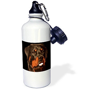 3dRose Cartoon Style Nerdy Rottie Sticking Tongue Out - Water Bottles (wb_357087_1)
