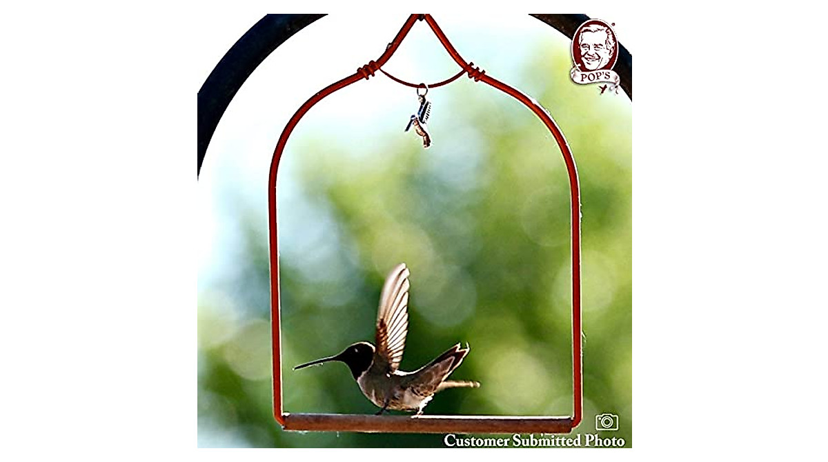 POP'S Charm Hummingbird Swing | Durable Outdoor Bird Perch