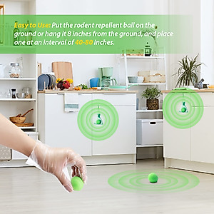 MAGIC CAT Rodent Repellent Peppermint Oil to Repel Mice & Rats, 10 Pack Natural Rat Deterrent for Indoor Home Pet Family Safe, Mouse Stopper for Car Engine RV Truck Garage Closet Boat Rodent Control