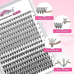 280 PCS Individual Lashes Cluster DIY Lash Clusters 10D 20D D Curl 8-15mm Cluster Lashes DIY Individual Eyelashes Lashes Wisps Reusable Soft Mini Cluster Eyelash Extensions at Home (10D/20D D 8-15mm)