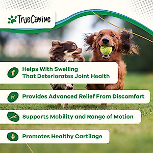 New Flex TrueCanine Joint Supplement for Dogs - All Natural Dog Joint Supplement with Green Lipped Mussel, MSM, DHA & Collagen for Dogs, Hip and Joint Supplement Dogs - Chicken Flavor, 2oz Powder