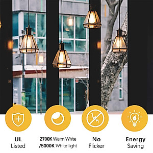 LED Light Bulbs Edison dimmable Bulbs Warm White 2700K Light Bulbs,E26 Base Energy Saving Equivalent 60W Incandescent watt,Antique Glass Style for Home, Bedroom. (2700k Warm White, 4-Pack)