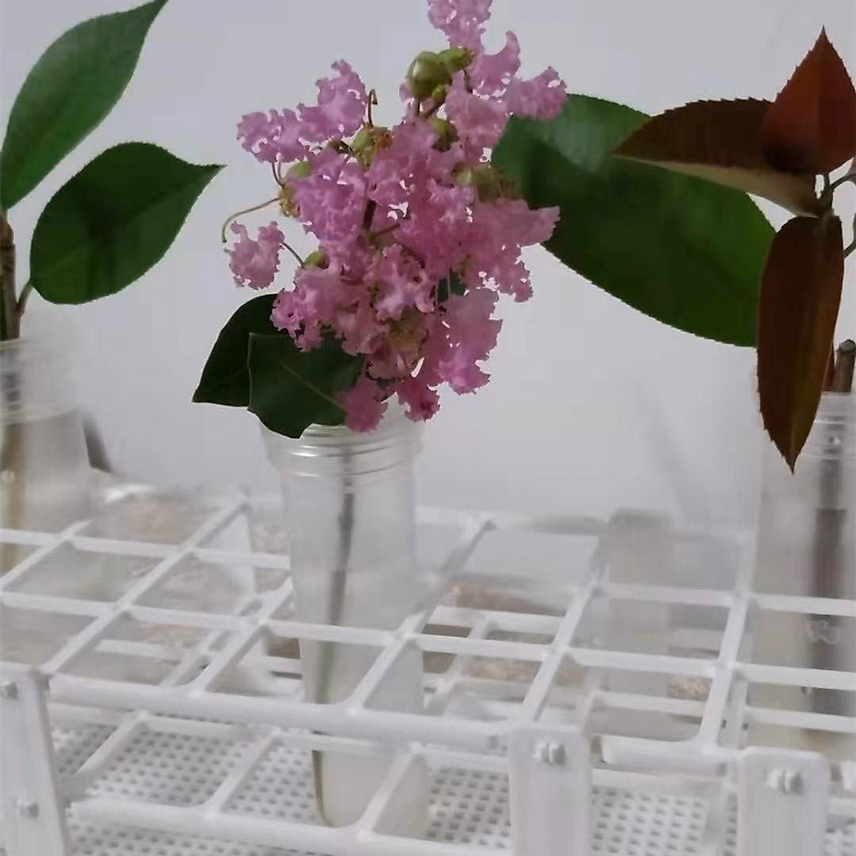 Pocomoco 3 Packs Plastic Test Tube Rack, 21 Holes Lab Test Tube Rack Holder for 30mm Test Tubes, White, Detachable (21 Holes)