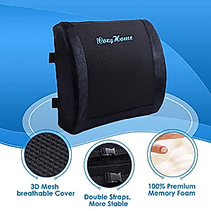 Coccyx Lumbar Support Pillow for Office Desk Chair Memory Foam Car Seat Cushion & Orthopedic Back Pillow for Sitting Help Tailbone Pain, Sciatica and Pressure Relief, Washable Cover