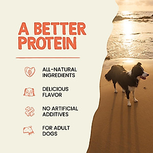 Baja Naturals Kelp Dog Treats – All Natural Healthy Supplement for Adult Dogs, Superfood Training Treat, Gluten Free Naturally Delicious, 6 oz.