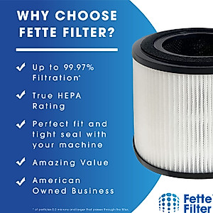 Fette Filter - Filter Compatible with BISSELL MYair Pro Hub and Plus Air Purifier Replacement HEPA and Carbon Filter Part # 3069 and 3389 - Pack of 1