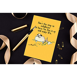 Stonehouse Collection Vareity Set of 12 Funny Birthday Cards - Birthday Card Assortment - USA Made