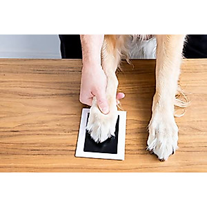 Pearhead Pet Clean-Touch Ink Pad, Medium/Large, Black Ink Pad for Cats or Dogs, Pet Owner, Pet Owner Must Have Item, Pet Memory Keepsake, for Medium to Large Pets