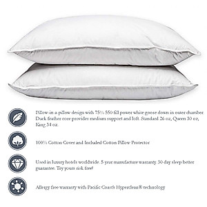 Pacific Coast Touch of Down Standard Size 2-Pillow Set with 2 Standard Size Pillowtex Pillow Protectors