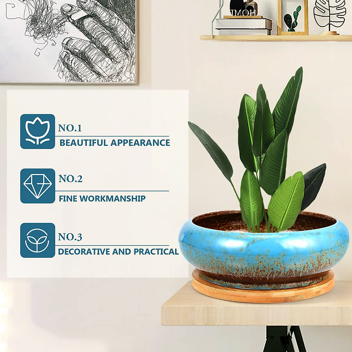 ERINGOGO 7 inches Succulent Pots, Ceramic Flower Planter Pot with Drainage and Tray, Round Shallow Bonsai Bowl Drip Planter for Small Indoor Plants