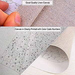 FILASLFT Landscape, Japanese Paint by Numbers for Adults Beginner, Lake, Home Wall Decor16x20 Inch