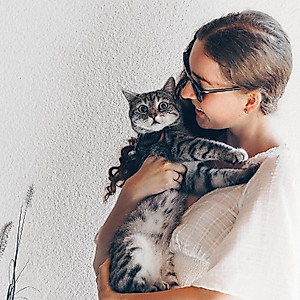 NQEUEPN 6pcs Carbon Filters, Activated Charcoal Filters Replacement Carbon Filters Cat Filters Replacement (Black)