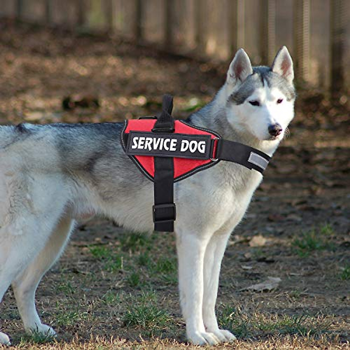 MUMUPET Service Dog Harness, No Pull Easy On and Off Pet Vest Harness, 3M Reflective Breathable & Easy Adjust Pet Halters with Nylon Handle - No More Tugging or Choking for Small Medium Large Dogs