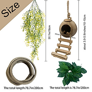 MUYG Crested Gecko Coconut Hut with Ladder,Natural Bearded Dragon Coco Den Reptile Shell Hideout Husk Hut Climbing Plants Leaves Tank Accessories for Lizard Chameleon Snakes