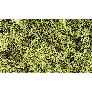 Woodland Scenics Lichen GRN, Light Green