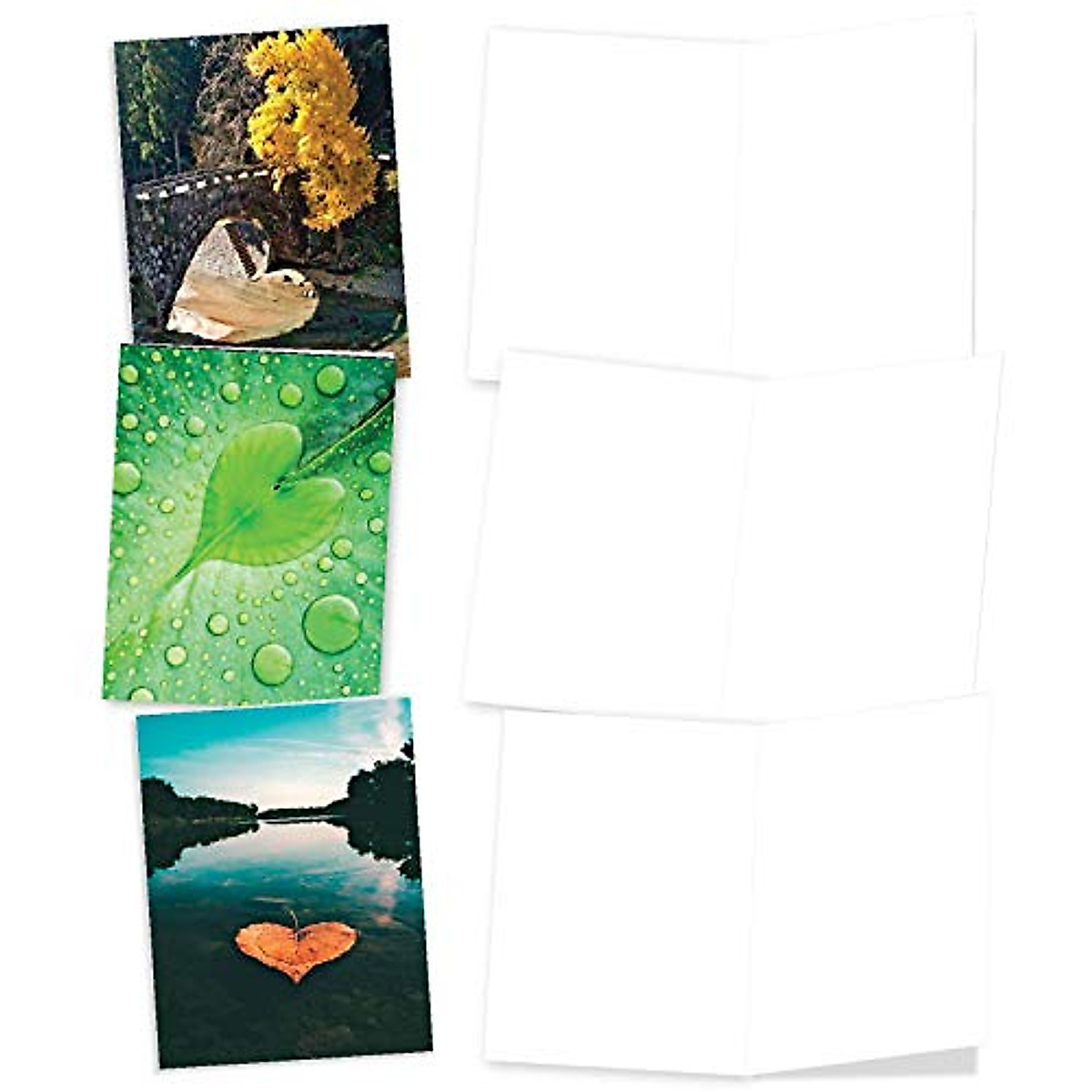 The Best Card Company - 10 Blank Heart Note Cards Boxed (4 x 5.12 Inch) - All Occasion Heartfelt Love Card Assortment - Heartscapes AM6838OCB-B1x10