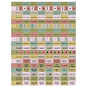 TF PUBLISHING 2024 Wild Sage Large Weekly Monthly Planner | Monthly Life Planner for Women with 2 Page Spreads | 12 Month Calendar and Planning Prompts | Planner for School or Work | 9"x11"