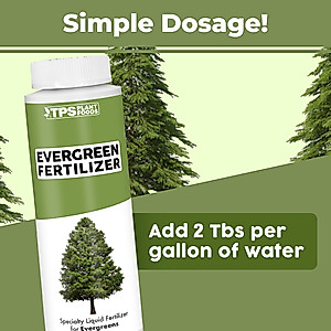 Evergreen Tree Fertilizer for All Conifer Trees and Shrubs, Liquid Plant Food 32 oz (1 Quart)