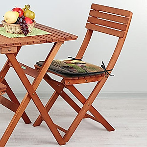 Lunarable Country Chair Cushion Pads Set of 4, Farm Barn Yard Image Rooster Animal Early Bird Nature and Rising Sun Print, Seat Padding for Office with Anti-Slip Backing, 16"x16", Pale Brown Red