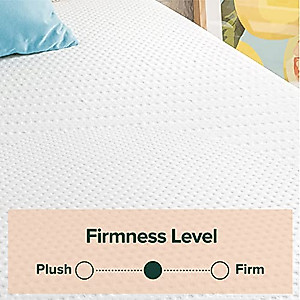 Zinus 8 Inch Green Tea Essential Memory Foam Mattress/Bed-in-a-Box/Affordable Mattress/CertiPUR-US Certified, Queen