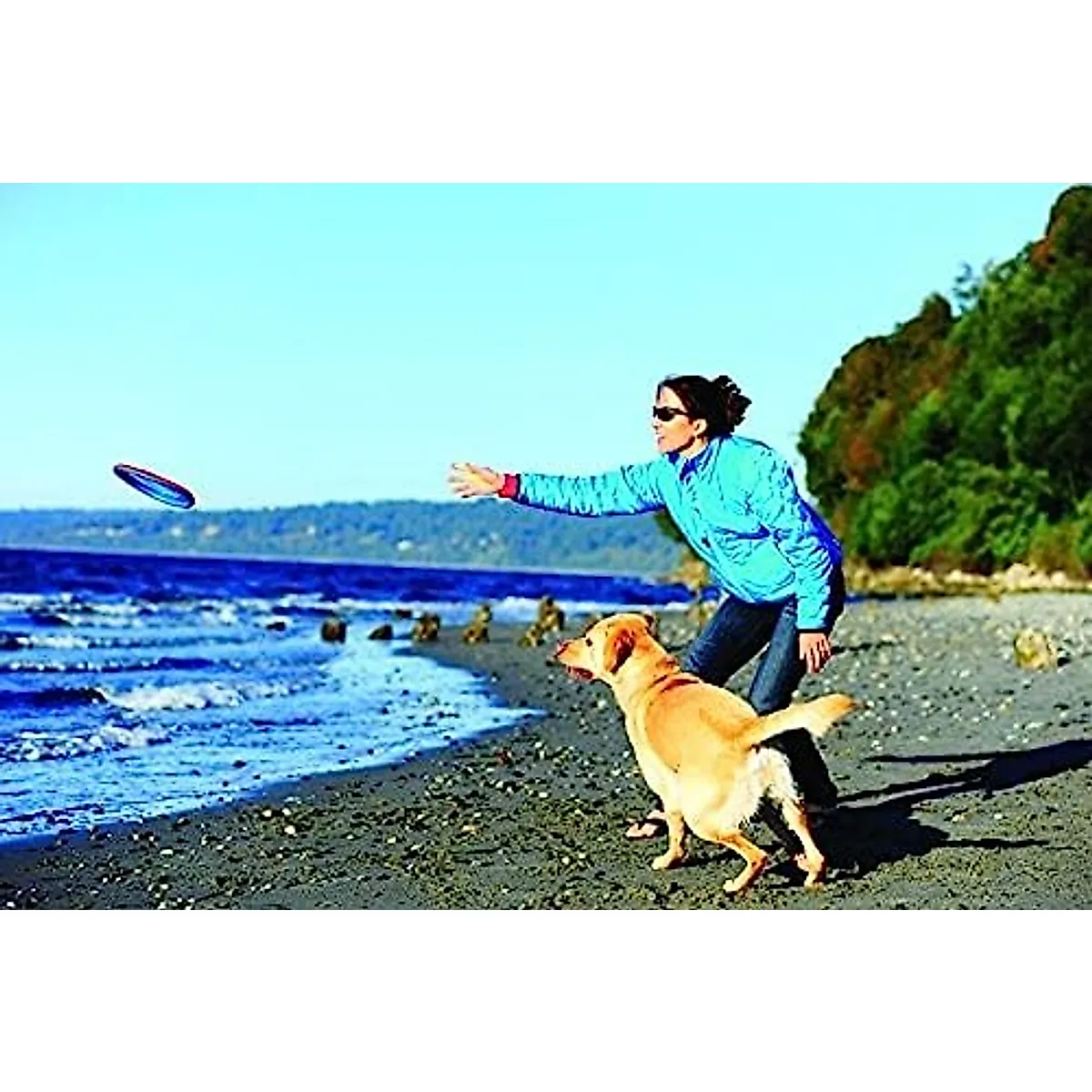 ChuckIt! Paraflight Flyer Dog Frisbee Toy Floats On Water; Gentle On Dog's Teeth And Gums; Large