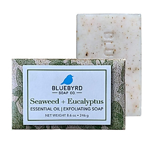 BLUEBYRD Soap Eucalyptus & Seaweed Exfoliating Large Soap Bar, 100% Vegan Cold Press Scented w/Essential Oils, Body Soap Scrub for Men & Women, Natural Oatmeal, Shea Butter, Olive Oil, 8.6oz