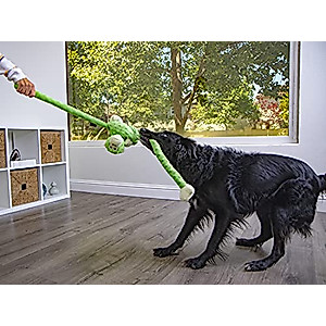 goDog Crazy Tugs Monkeys with Chew Guard Tough Plush Dog Toy, Green, Large