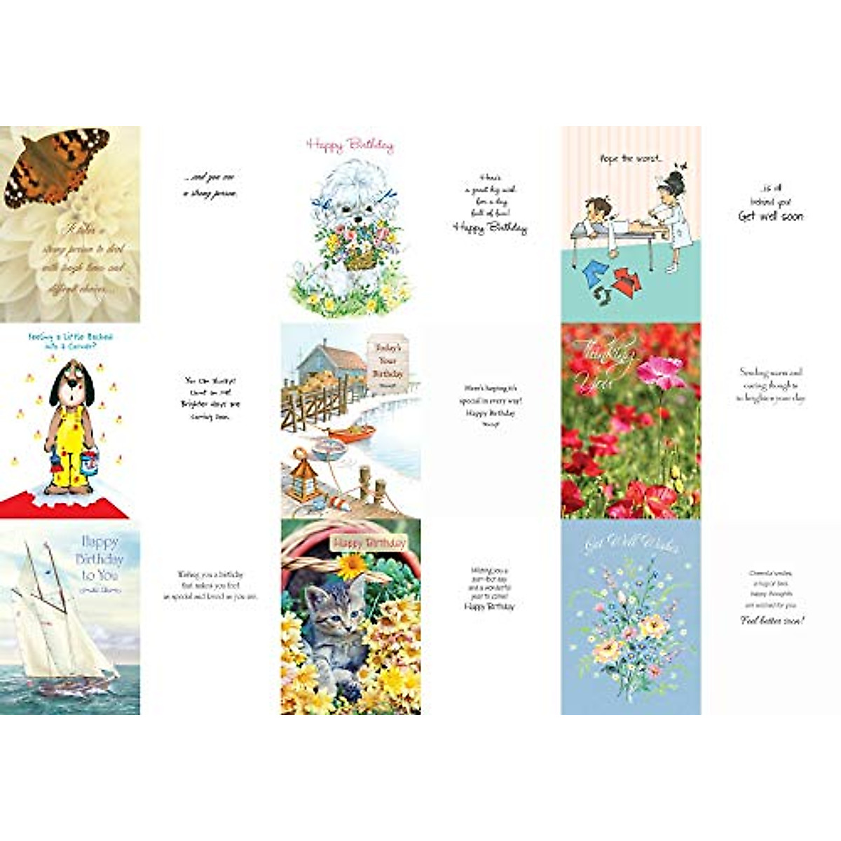 Variety Boxed Greeting Card Assortment by Fravessi | 36 Card Pack + 36 White Envelopes (4x6) | Humorous