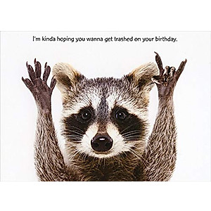 Designer Greetings Raccoon Doing 'Rock On' Hand Symbol Funny/Humorous Birthday Card