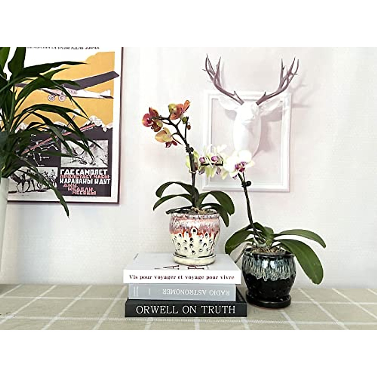 Orchid Pots with Holes 4.33 inch Ceramic Orchid Planter White and Black (Set of 2)