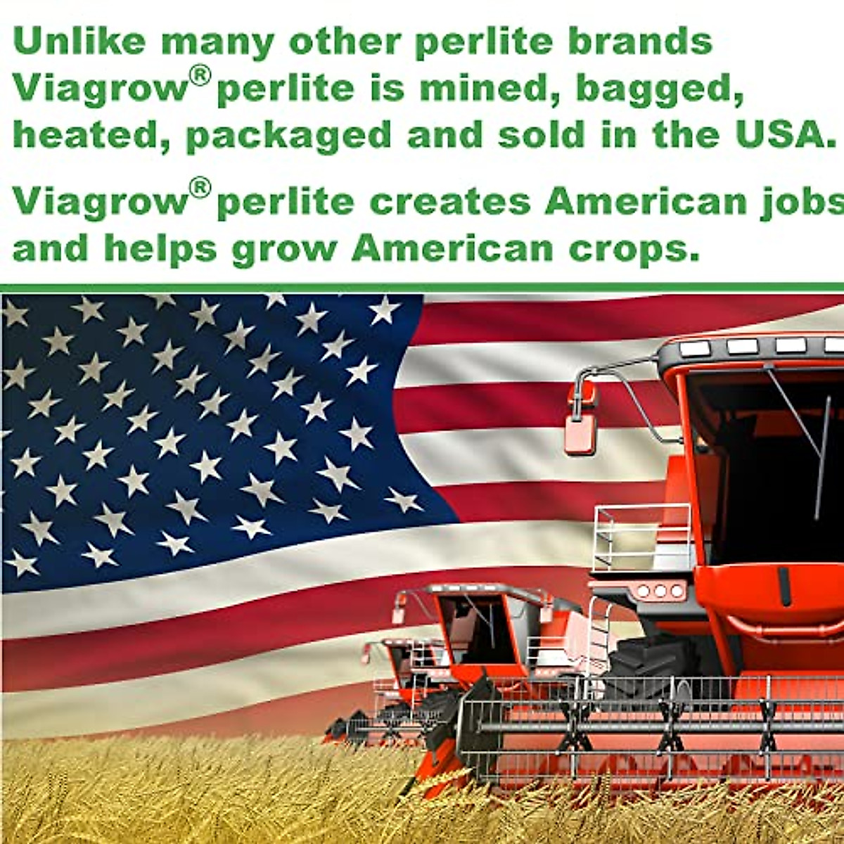 Viagrow Coarse and Chunky Perlite 29.9 quarts, White