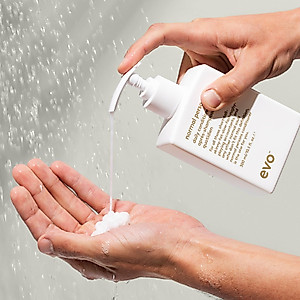 evo Normal Persons Daily Care Conditioner - Refreshes & Balances Scalp, Reduces Frizz, Reinvigorates Scalp and Hair