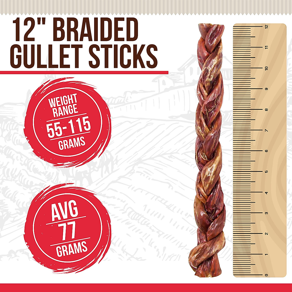 Best Dog Chews Braided Gullet Sticks-100% Natural and Delicious Dog Treats and Protein Rich Chews-Fully Digestible Promotes Joint & Dental Health for All Breed Sizes Dogs and Puppies 12inch (2 Count)
