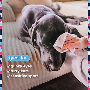 Pet Life Unlimited Dog Ear Wipes, Dog Eye Wipes - Plant-Based Dog Ear Cleaner Wipes with Moisturizing Aloe Leaf & Soothing Chamomile - Fragrance Free Eye and Ear Wipes for Dogs - 30 Count (Pack of 4)