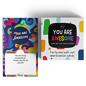 Dessie Awesome Cards - 40 Unique Mini Encouragement Cards w/Inspirational Messages 2.5" x2x5. Employee Appreciation Gifts. Teacher Appreciation Cards in Bulk. Positive Affirmation Cards.