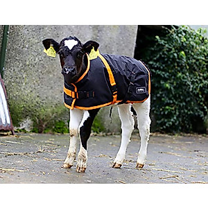AniMac Super Calf Jacket for Calves, Sheep, Alpaca, Goats and Dogs – Premium Waterproof Livestock Coat – Breathable – Synthetic – Machine Washable