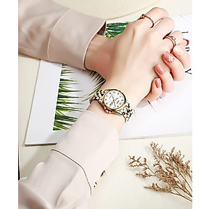 OUPINKE Automatic Womens Watches Self Winding Mechanical Luxury Dress Diamond Dial Tungsten Steel Wrist Watches for Women Date Waterproof Luminous