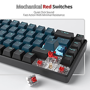 Ussixchare 65 Percent Mechanical Gaming Keyboard 68 Keys RGB Gaming Keyboard with Red Switch Wired Keyboard for Windows PS4/5 Xbox Gamers(68 Monster)
