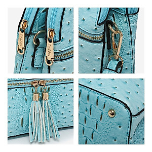 Dasein Women Tassel Zipper Pocket Crossbody Bag Shoulder Purse Fashion Travel Bag with Multi Pockets(Ostrich Blue)
