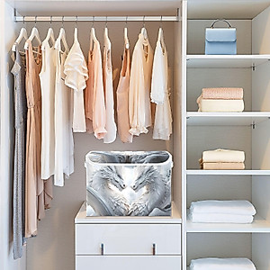 ALAZA Storage Bins Organizer Box Baskets Lidded Clothes for Shelves Closet Dragon White Collapsible Stackable Storage Cubes Handles