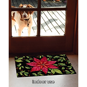 Toland Home Garden 800116 Poinsettia Winter Door Mat 18x30 Inch Christmas Outdoor Doormat for Entryway Indoor Entrance