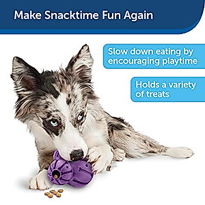 PetSafe Busy Buddy Barnacle - Dog Chew Toy - Treat Dispensing Dog Toys Purple Large