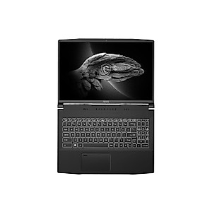 MSI Creator M16 16" Content Creation Laptop: Intel Core i7-12700H RTX 3060 NVMe SSD, QHD+ 16:10 100% DCI-P3, 180-Degree Lay-Flat, Cooler Boost Trinity+, Win 11 Home: Black (32GB RAM | 1TB PCIe SSD)