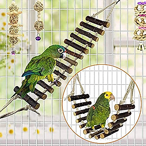 Diaertiny Bird Parrot Swing Chewing Toys 8 Pack Natural Safety Wood for Small Parakeets, Cockatiels, Finches,Budgie and Small&Medium Birds