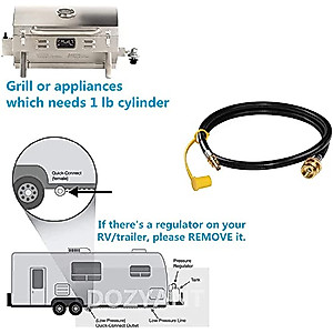 DOZYANT 12 Feet 1/4" Quick Connect RV Propane Hose Converter Replacement for 1 lb Throwaway Bottle Connects 1 LB Bulk Portable Appliance to RV 1/4" Female Quick Disconnect