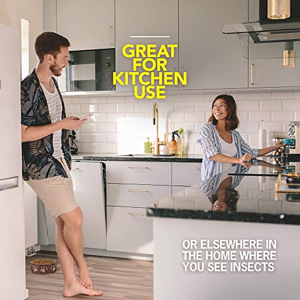 Raid Ant and Roach Killer, Aerosol Spray with Essential Oils 11 Ounce (Pack of 1)