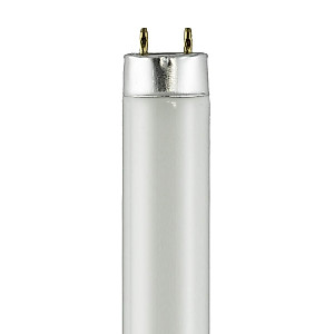 Norman Lamps F18T8/CW/28 Cool-White 4200K - Watts: 18W, Type: T8 Fluorescent Tube, Color